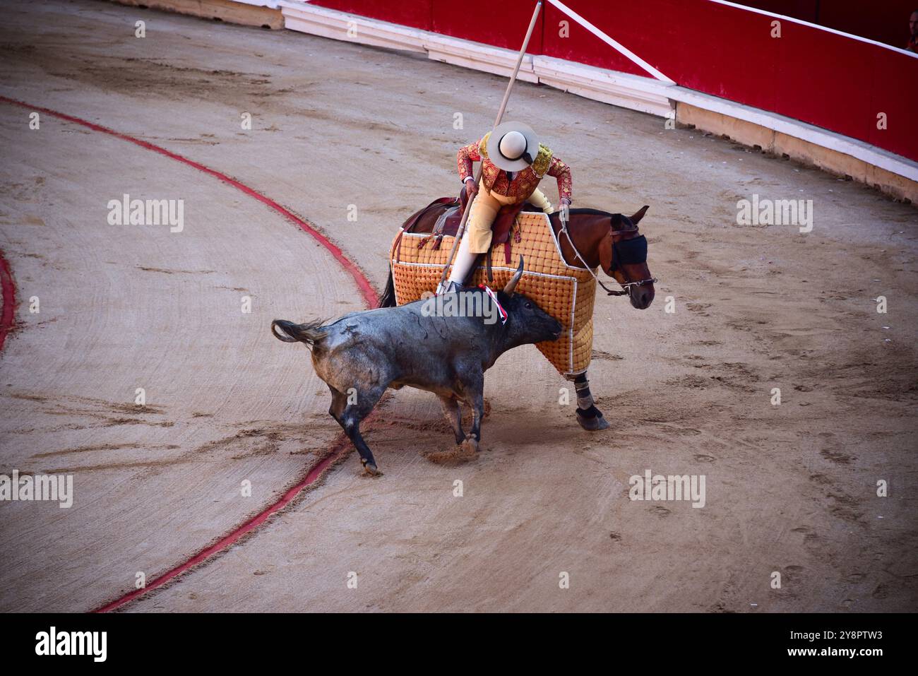 Bull charging horse at bullfighting ring Stock Photo - Alamy