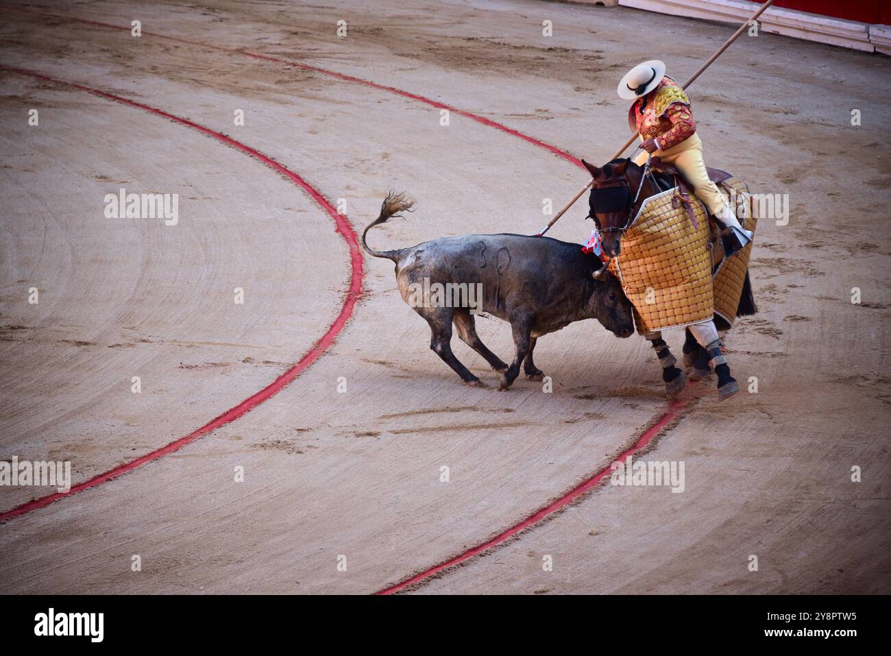 Bull charging horse at bullfighting ring Stock Photo - Alamy