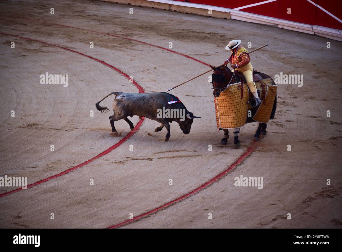 Bull charging horse at bullfighting ring Stock Photo - Alamy