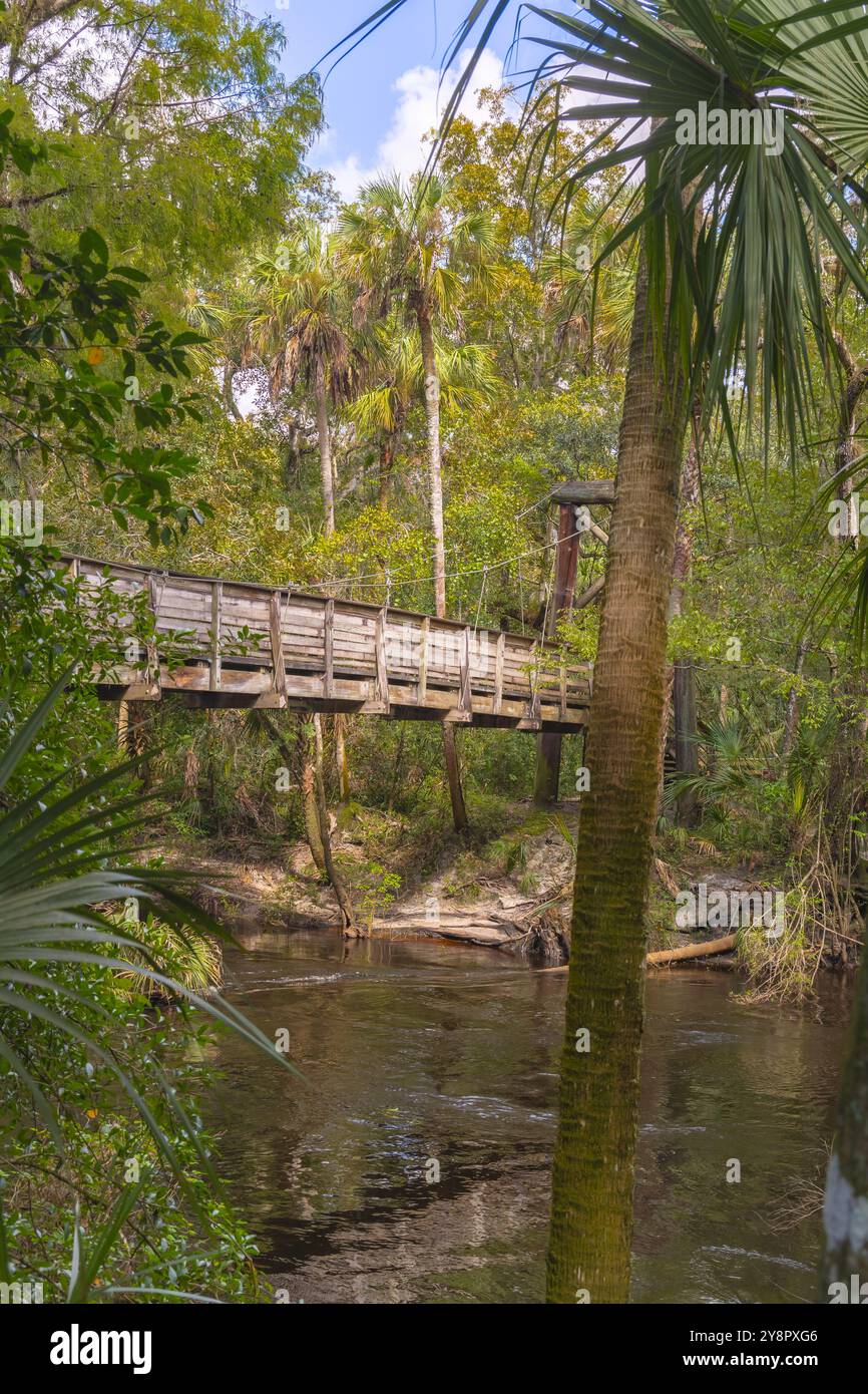 The lush autumn colors of the Hillsborough River State Park Tampa ...