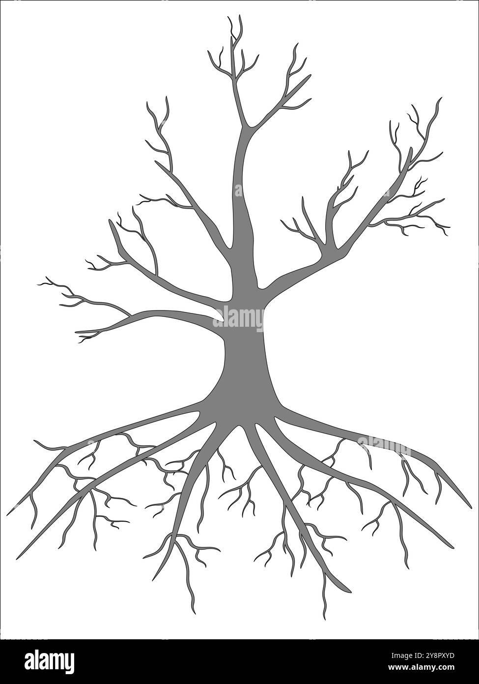 Deciduous leaves on branch tree Black and White Stock Photos & Images ...