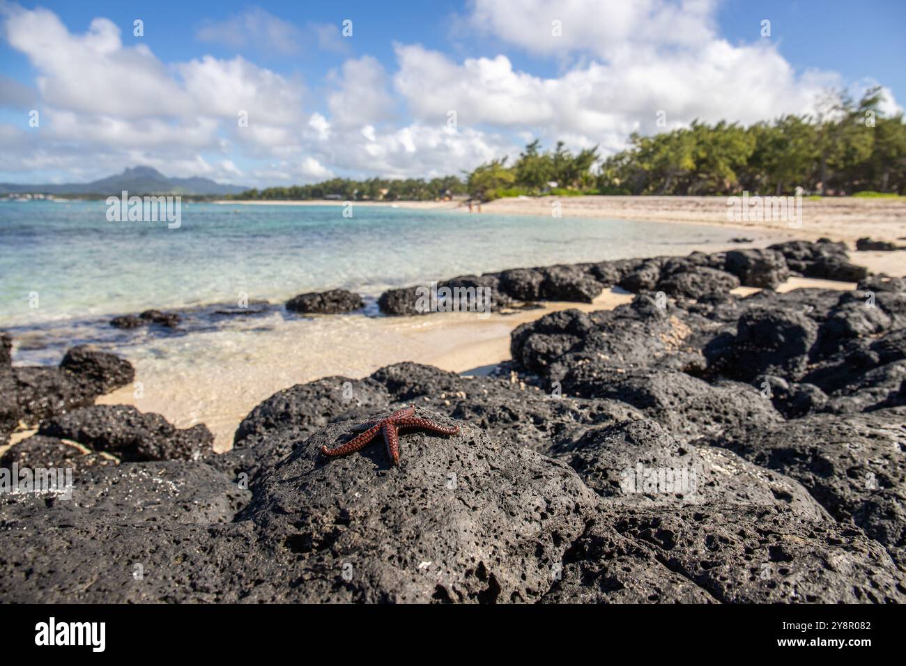 Sunrise over the sea. Sandy beach with lava rocks and beach alternate ...