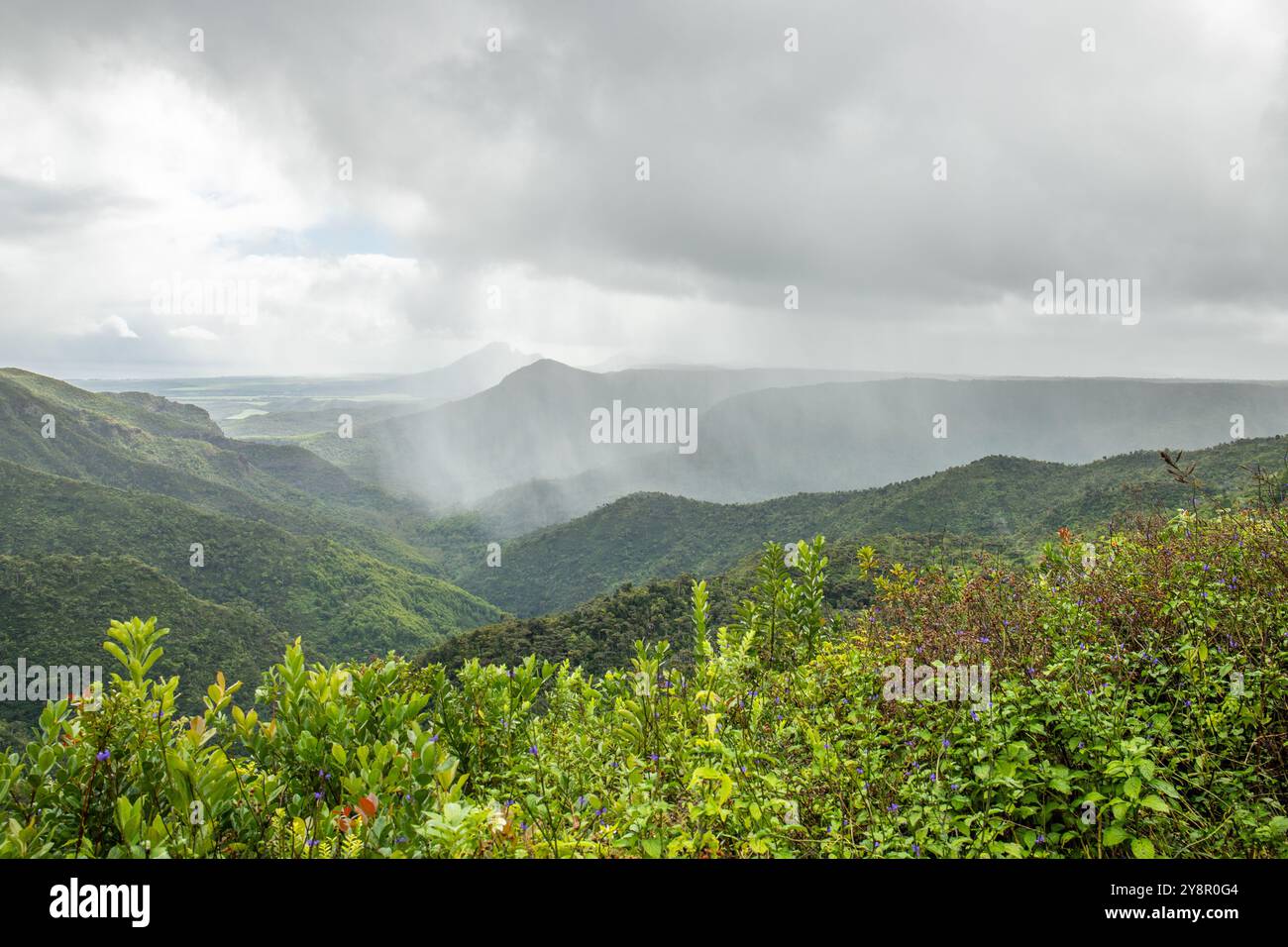 Viewpoint overlooking the jungle. Tropical vegetation, at the Gorges ...