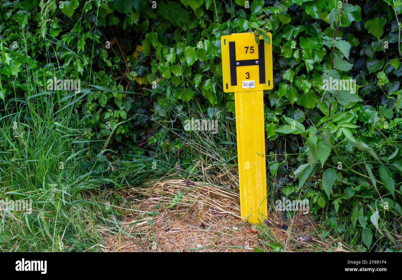 On a roadside grass verge a modern bright yellow fire hydrant sign ...