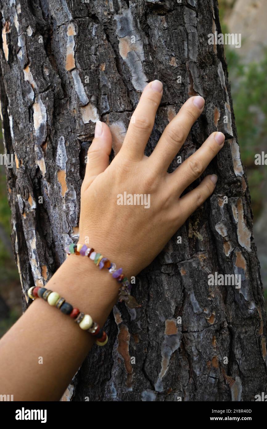 woman hand touching tree textured bark Stock Photo - Alamy