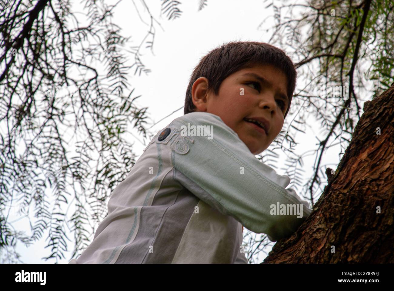 Child climb tree hi-res stock photography and images - Alamy