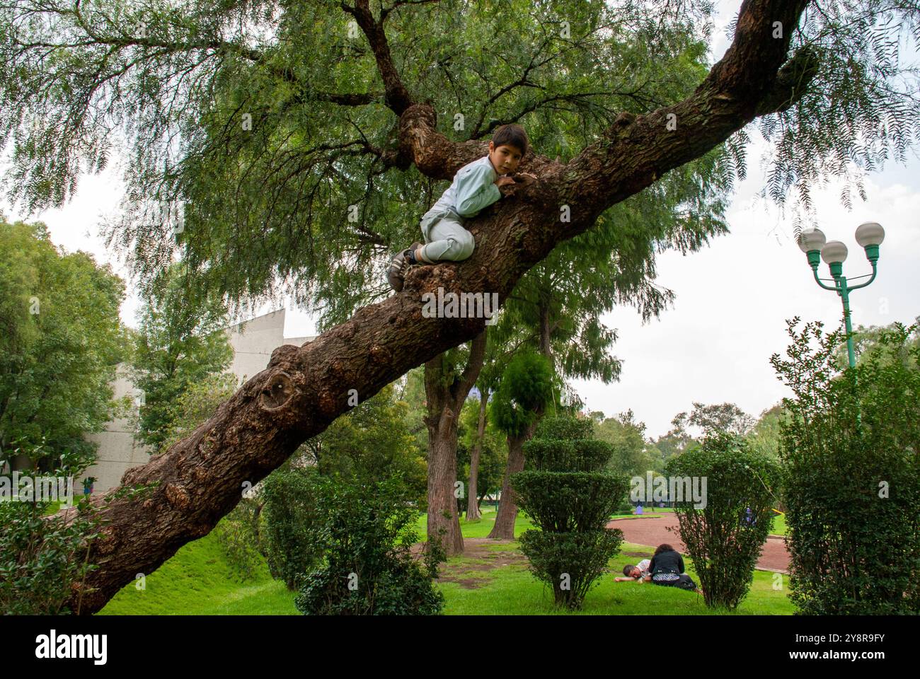 Child climb tree hi-res stock photography and images - Alamy