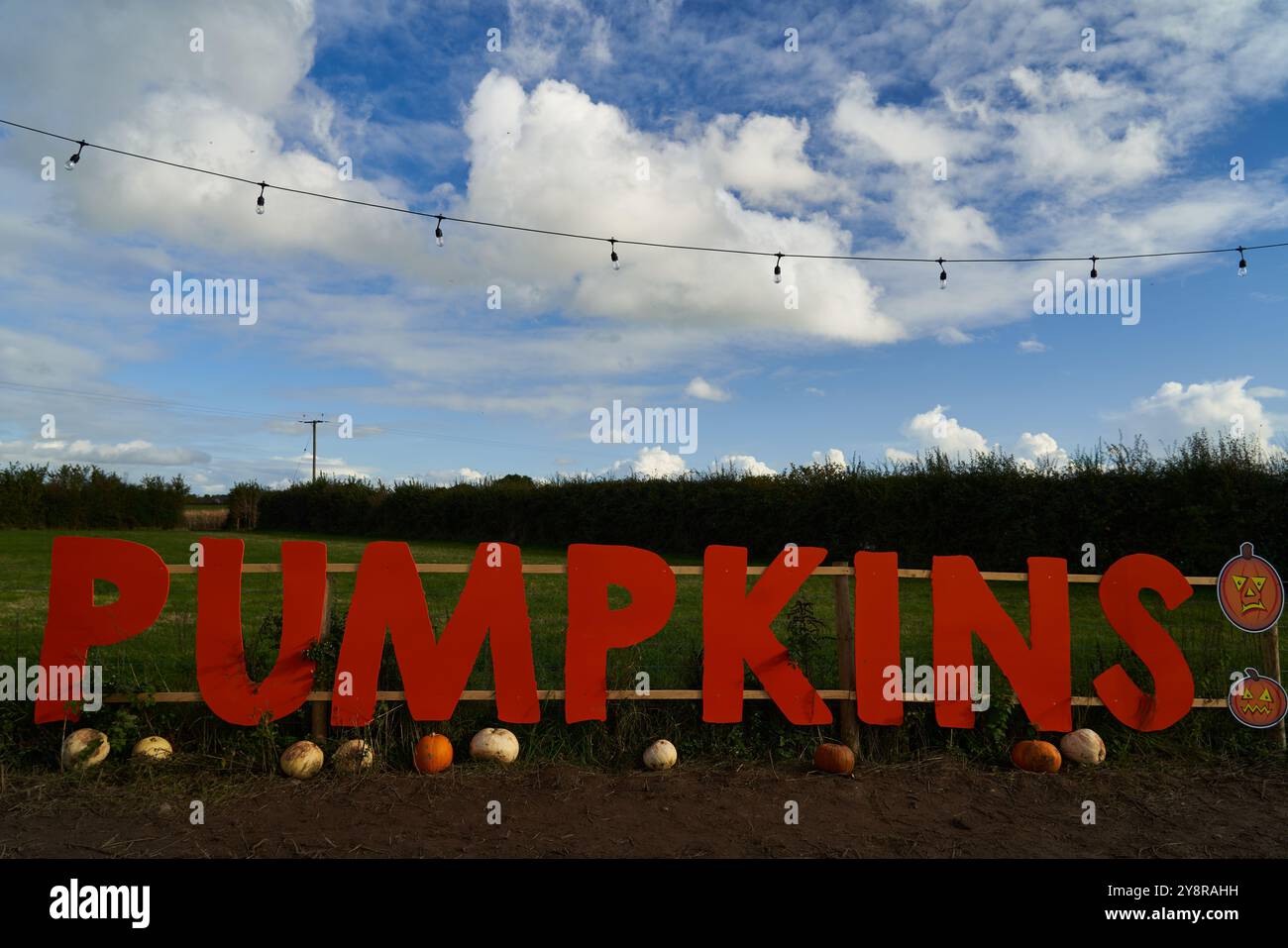 Farm fall festival pumpkins hi-res stock photography and images - Alamy