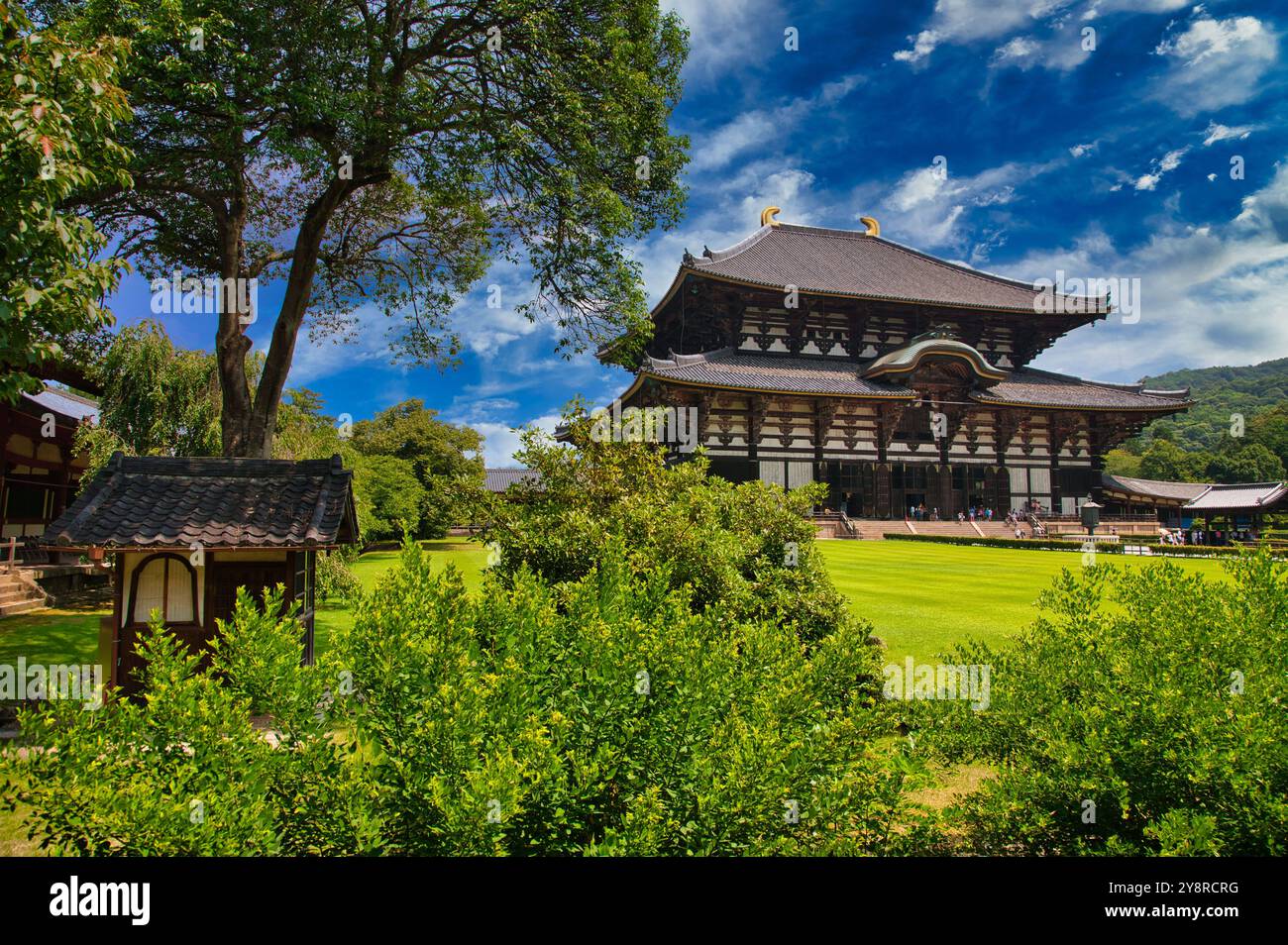 Todai-ji Temple, Nara Park, Nara, Japan Stock Photo - Alamy