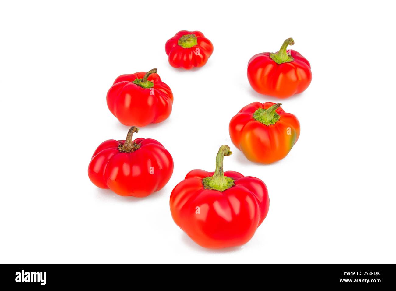 Colorful small red peppers on a white background. Sweet pepper Mini ...