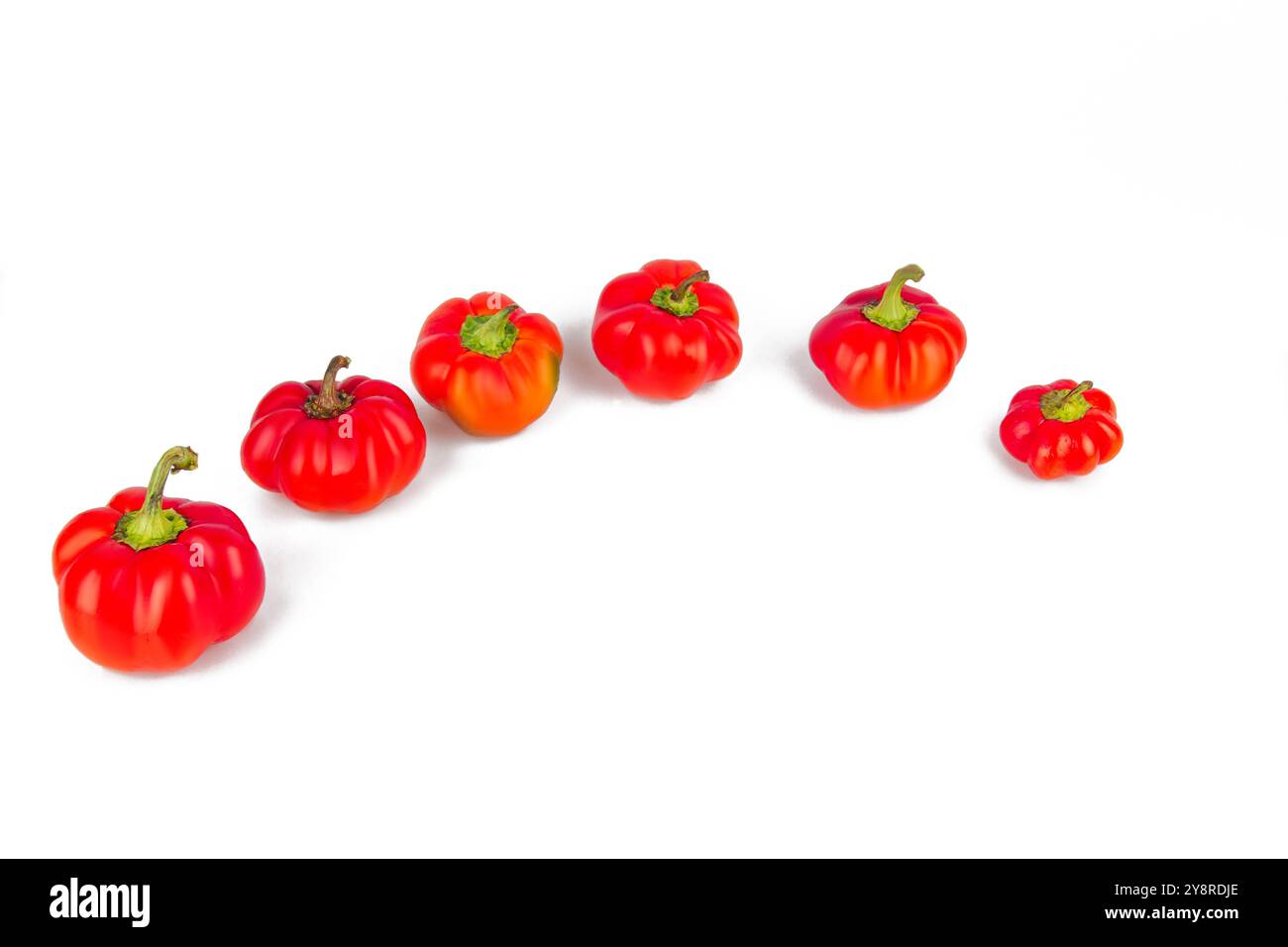 Colorful small red peppers on a white background. Sweet pepper Mini ...