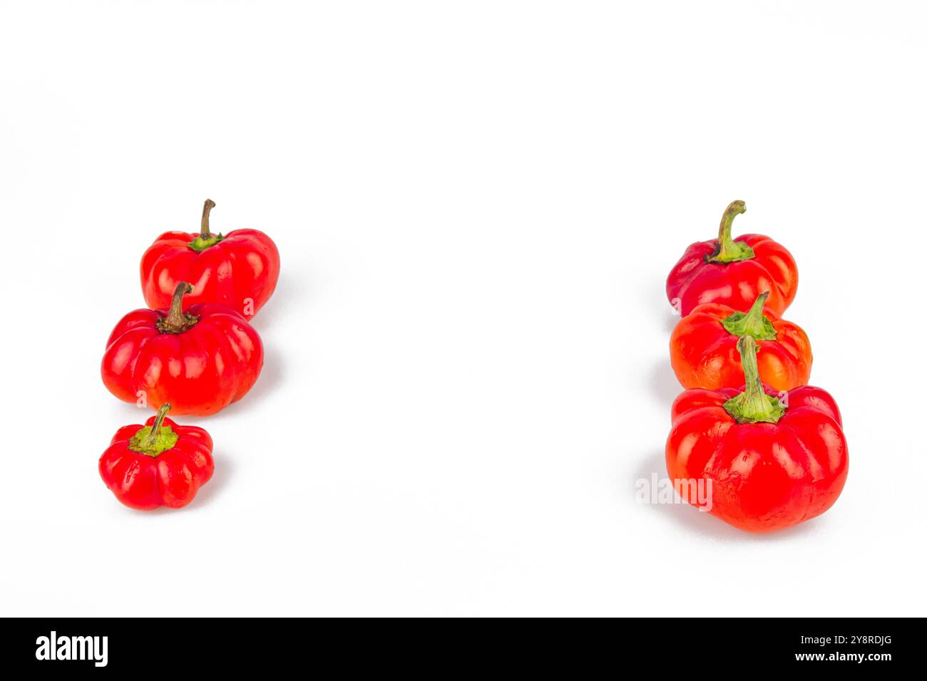 Colorful small red peppers on a white background. Sweet pepper Mini ...