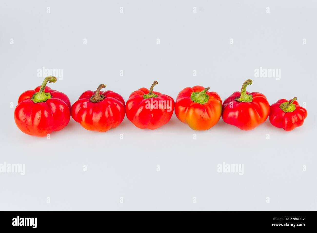 Colorful small red peppers on a white background. Sweet pepper Mini ...