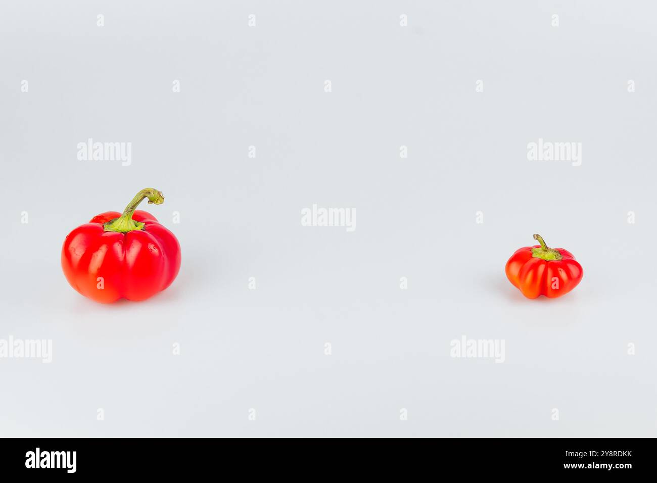 Colorful small red peppers on a white background. Sweet pepper Mini ...