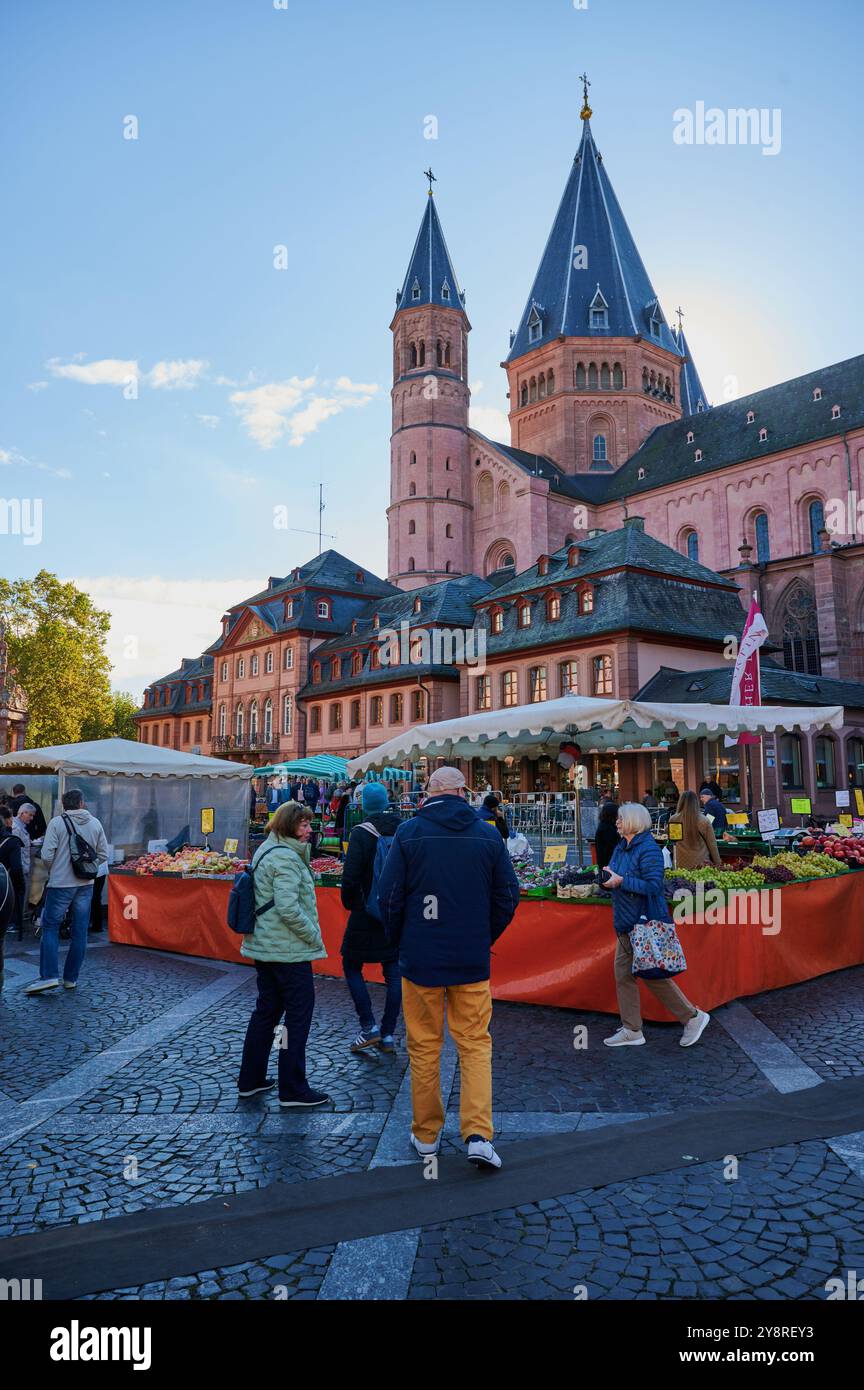 Weekly market with peoples buying fresh food in Mainz Stock Photo - Alamy