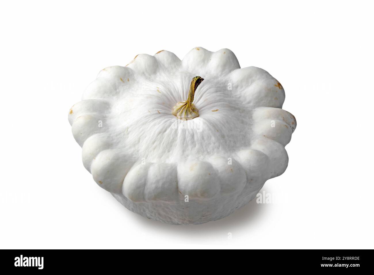 white textured pattypan squash isolated on white background Stock Photo ...