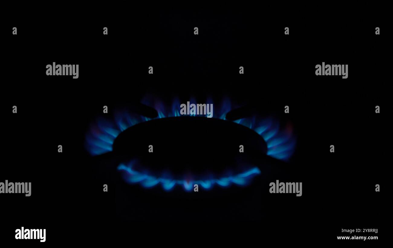 the gas burner on the kitchen stove lights up. Burning blue flame of ...