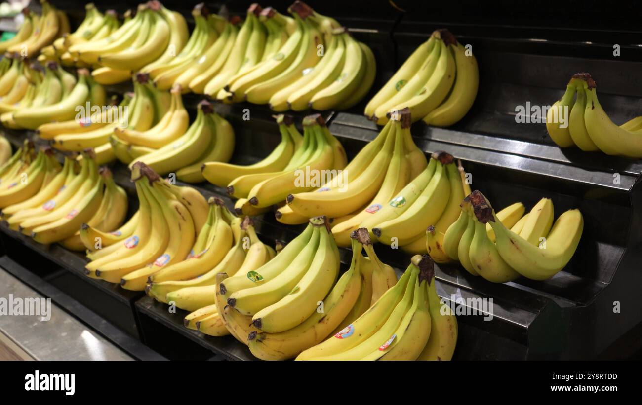 Ripe yellow bananas on the rack of an agricultural store. Collection ...