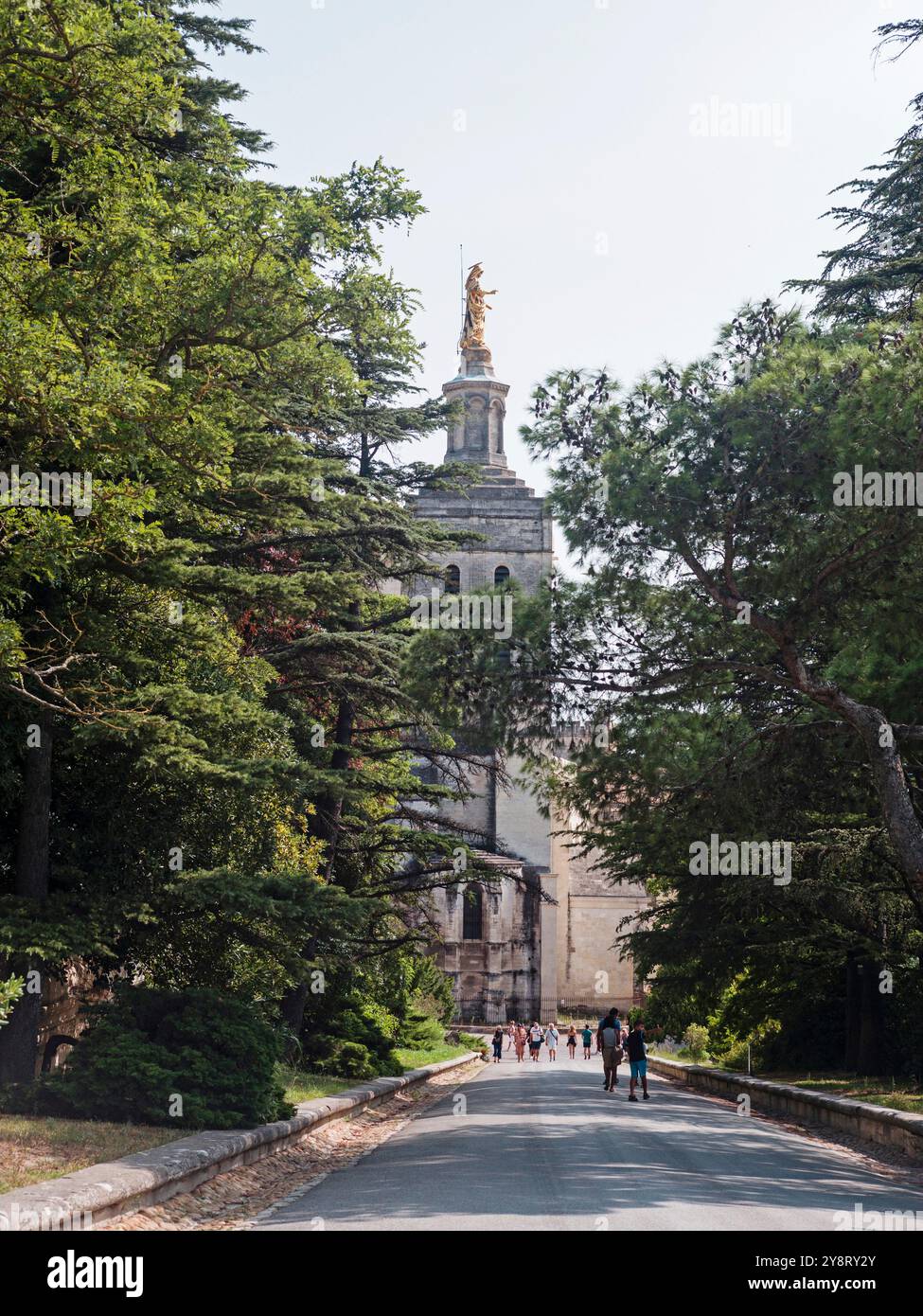 Palace of the Popes (Avignon/France Stock Photo - Alamy