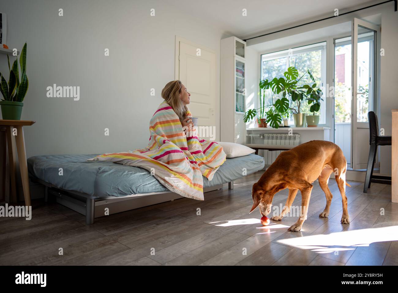 Happy woman dog owner enjoys slow morning coffee in bed wrapped in ...