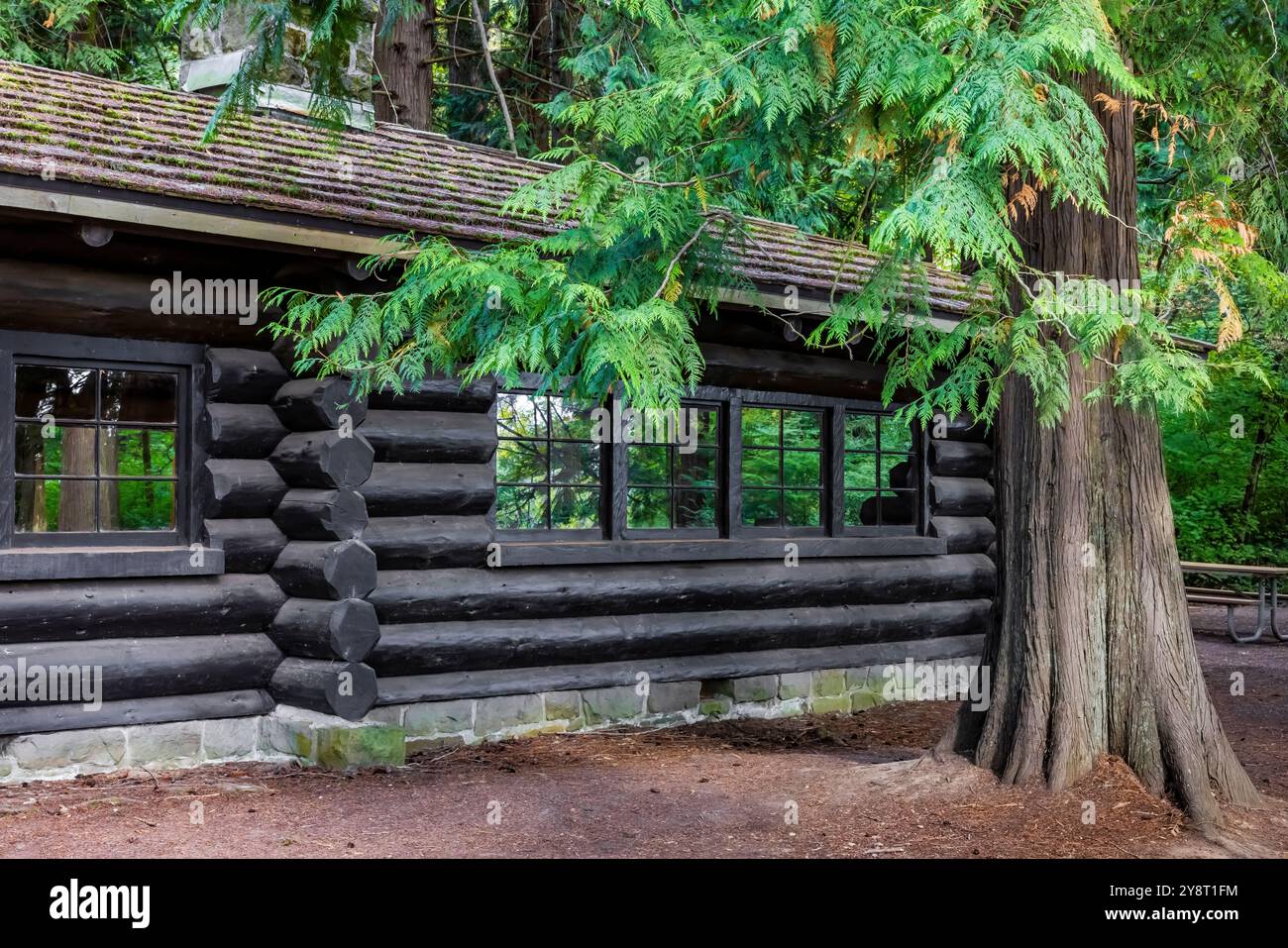 Rustic Cedar Log Pavilion Red Cedar Logs Hi Res Stock Photography And