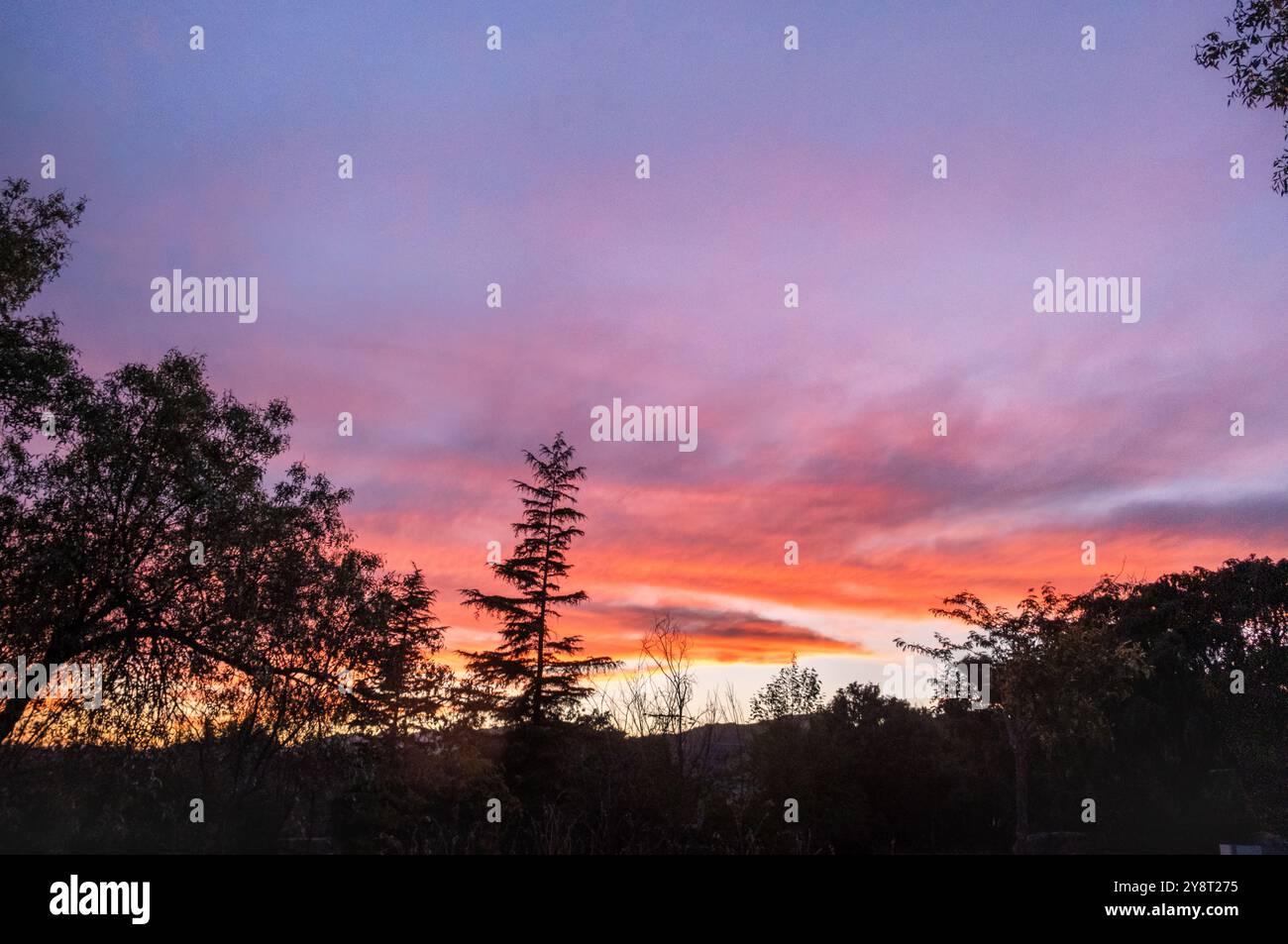 Fire red dawn sky forest hi-res stock photography and images - Alamy