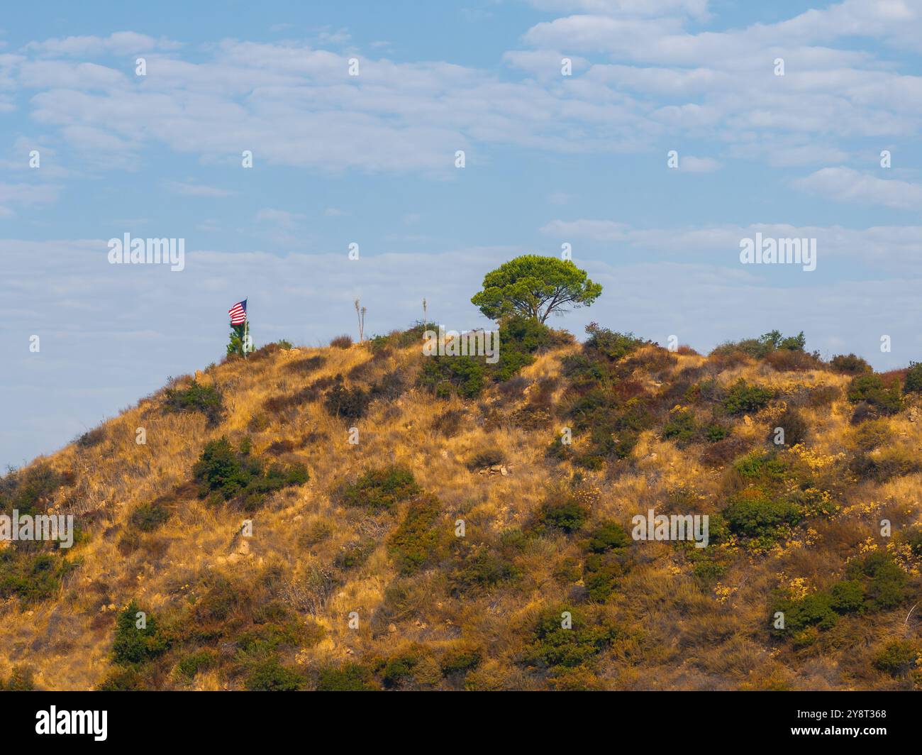 Hilltop with Tree and American Flag in Hollywood Hills, Los Angeles ...