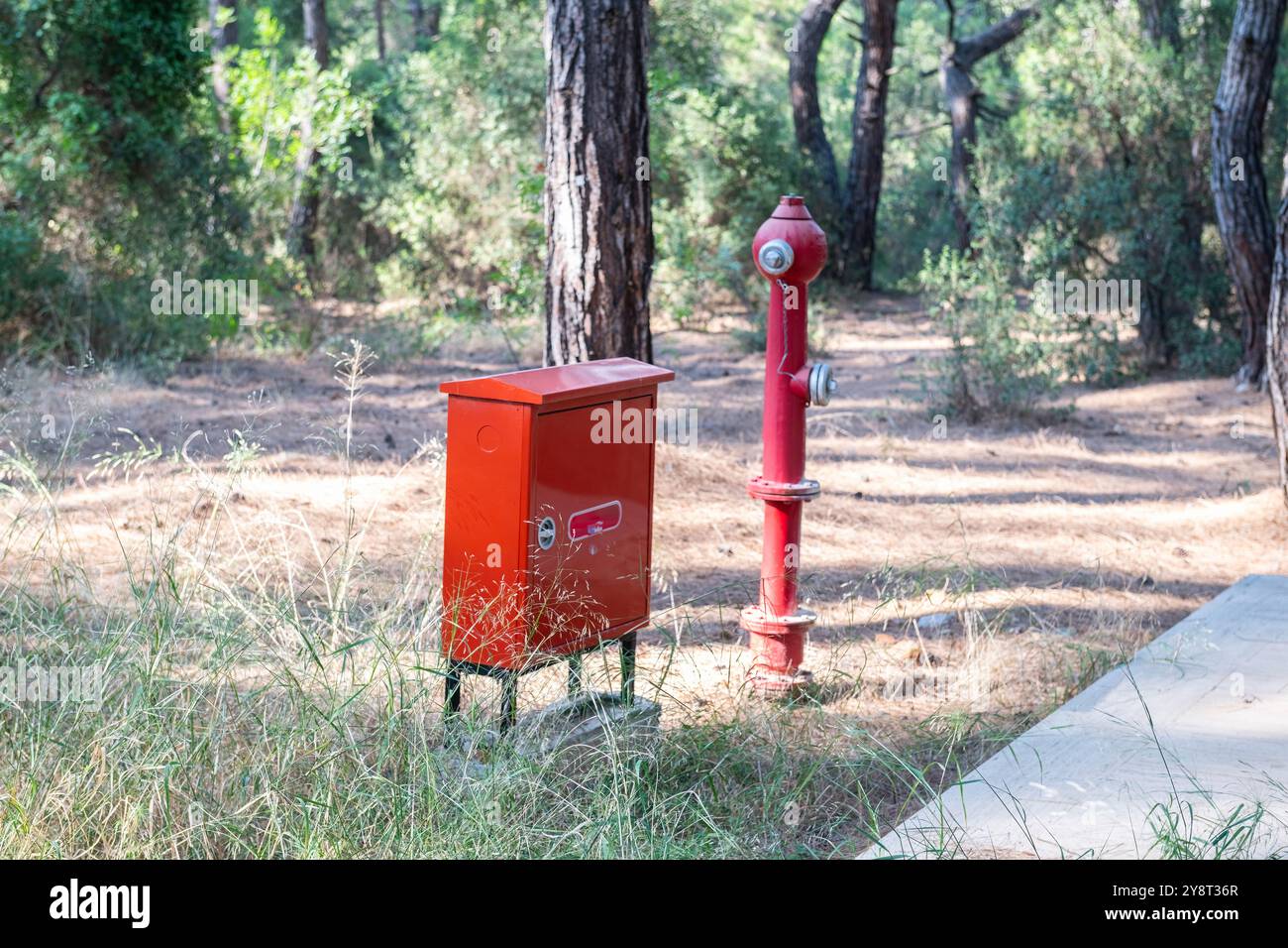 Red coloured fire hydrants and electrical panel in woodland. Security ...