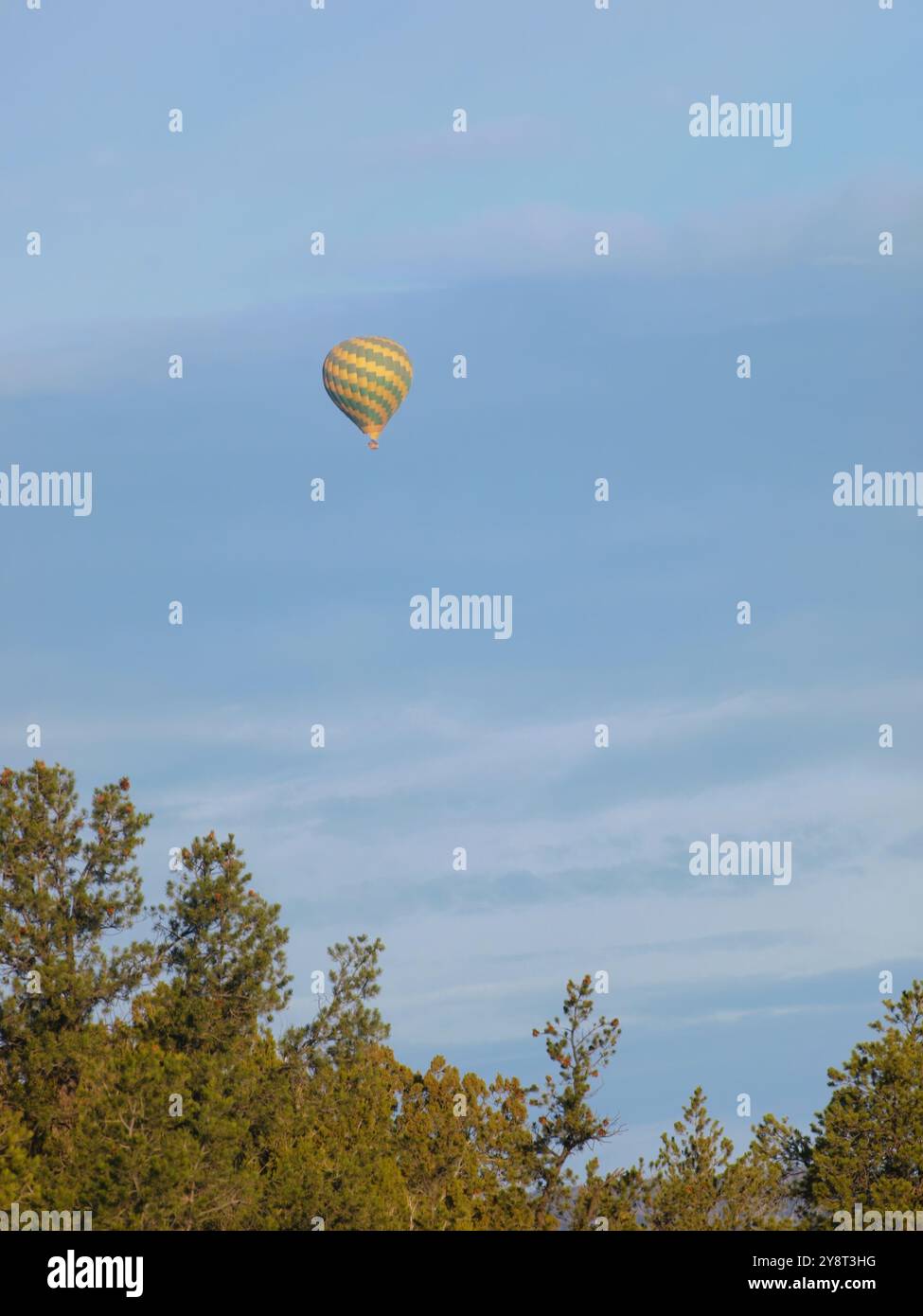 Solo yellow hot air balloon above trees Stock Photo - Alamy
