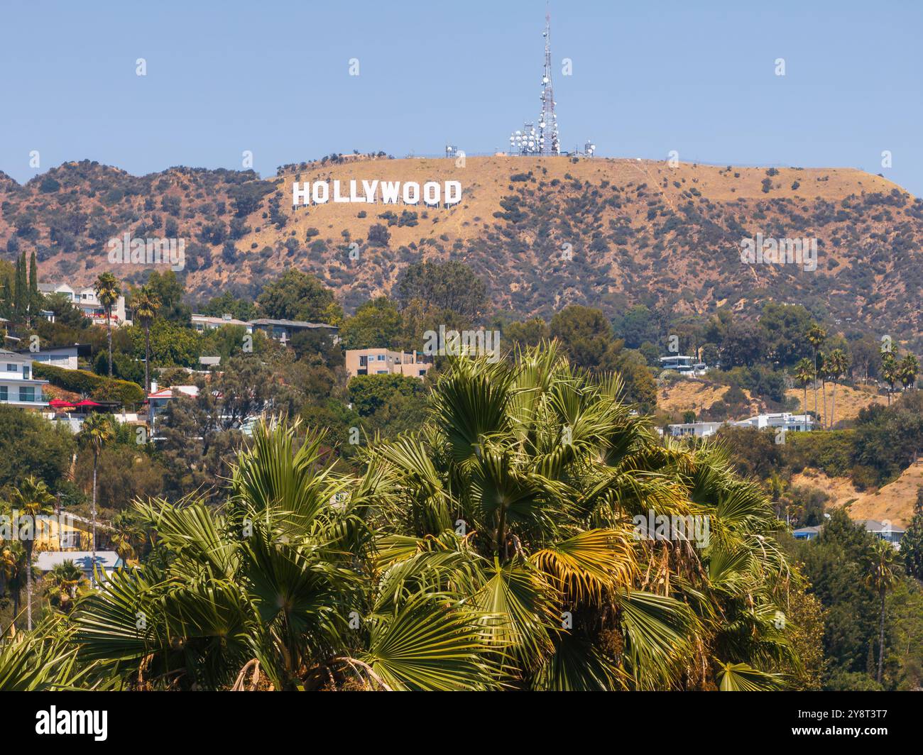 Hollywood Sign with Palm Trees and Homes in Los Angeles Hills Stock ...