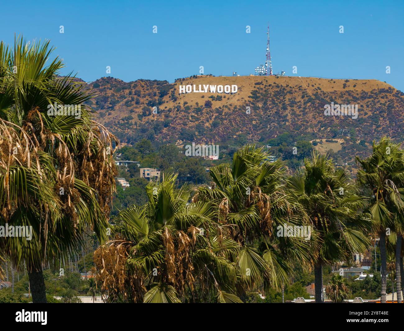 Hollywood Sign with Palm Trees and Communication Towers in Los Angeles ...