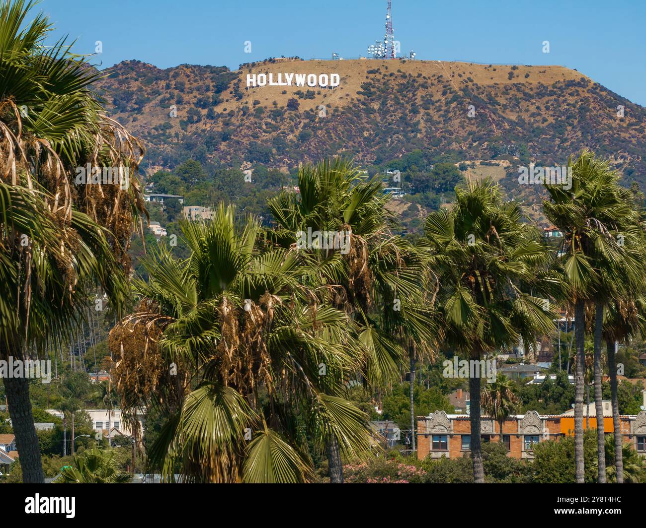 Hollywood Sign with Palm Trees and Rugged Hills in Los Angeles Stock ...