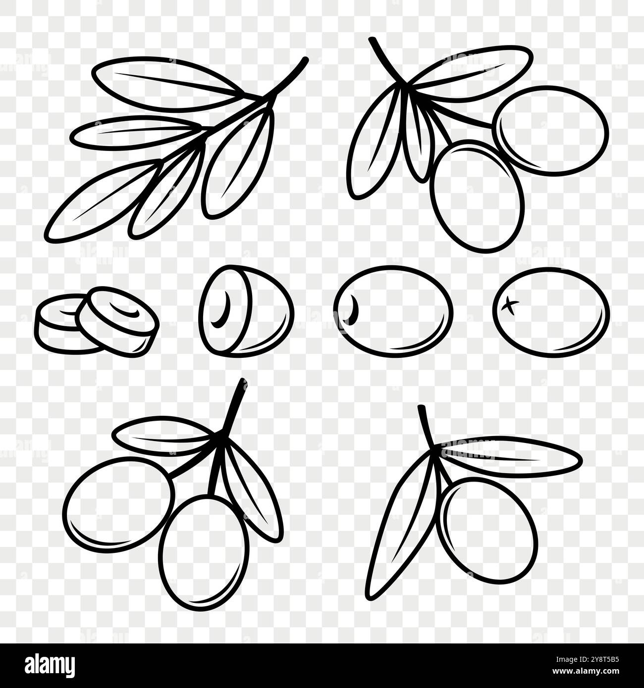 Flat Vector Black Olives and Branch Outline Set. Hand-Drawn Olive Tree ...