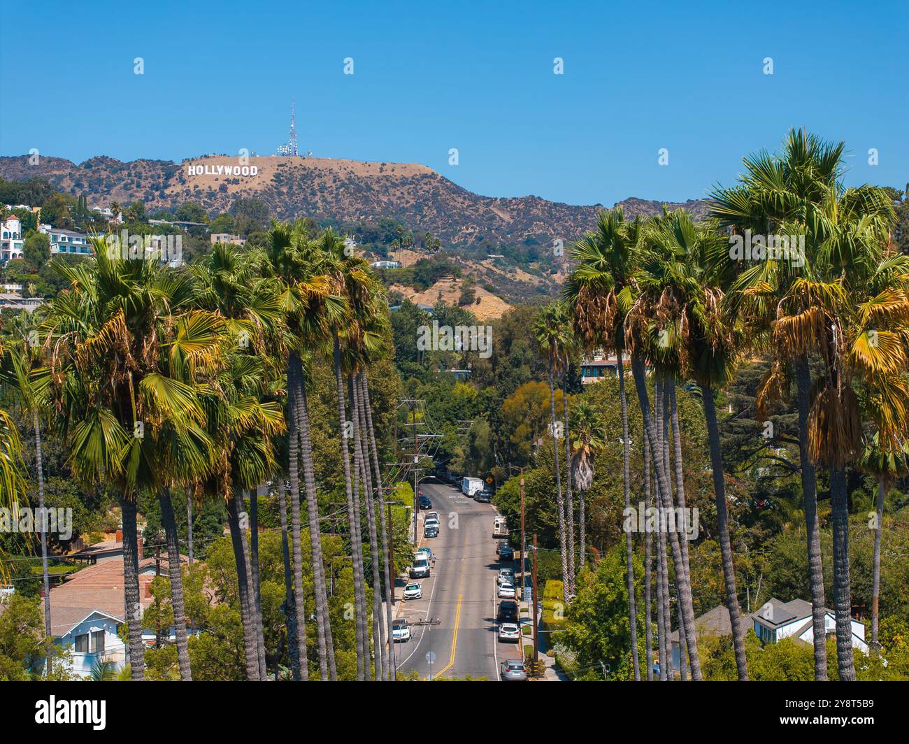 Hollywood District with Iconic Hollywood Sign and Palm Trees Stock ...