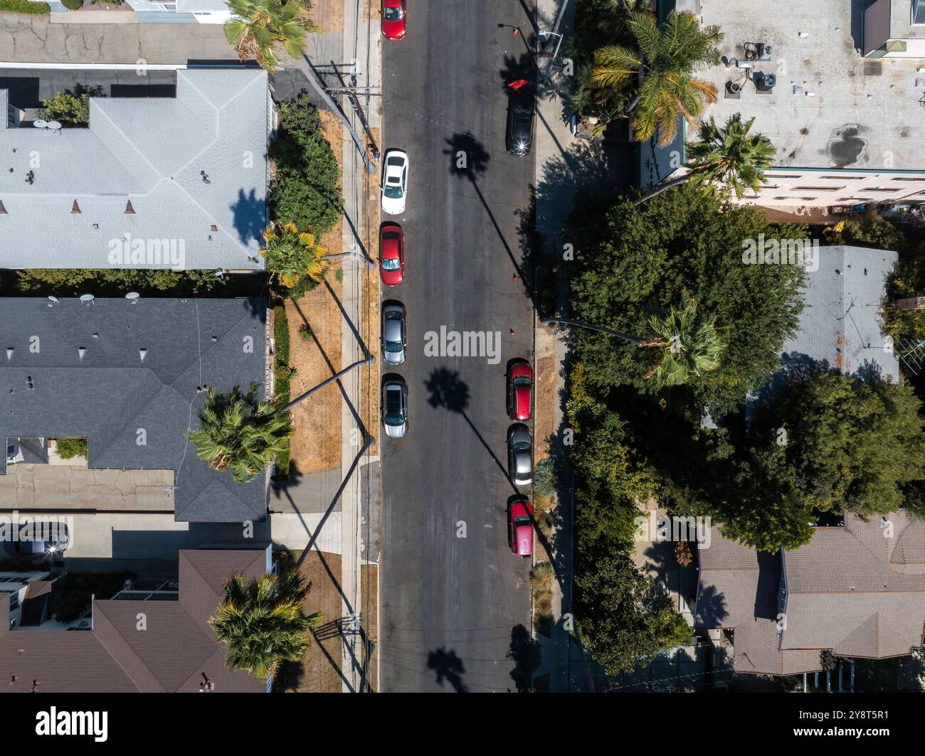 Aerial View of Residential Street with Palm Trees in Los Angeles Stock ...