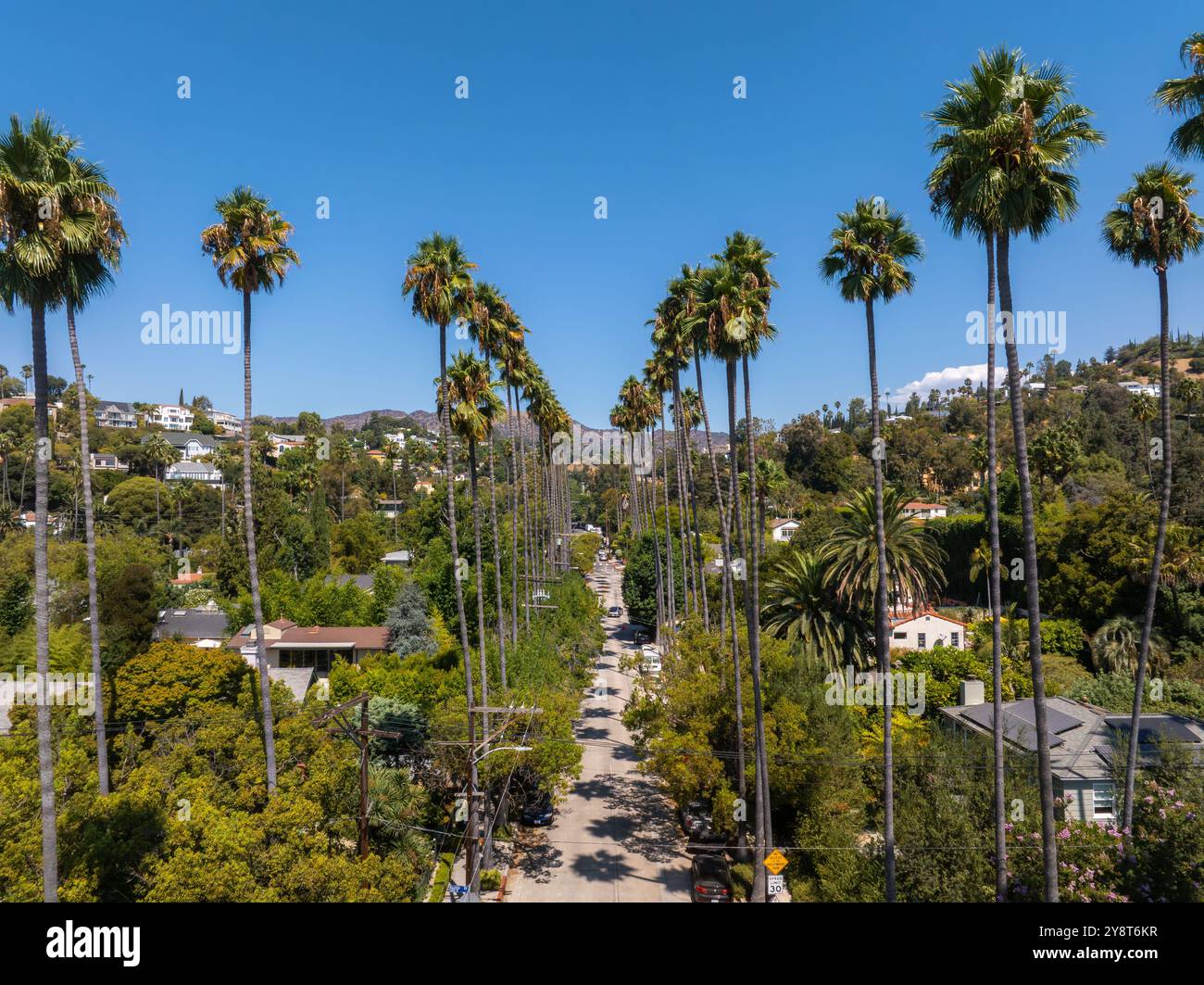 Palm Tree Lined Street in Hollywood District, Los Angeles Stock Photo ...