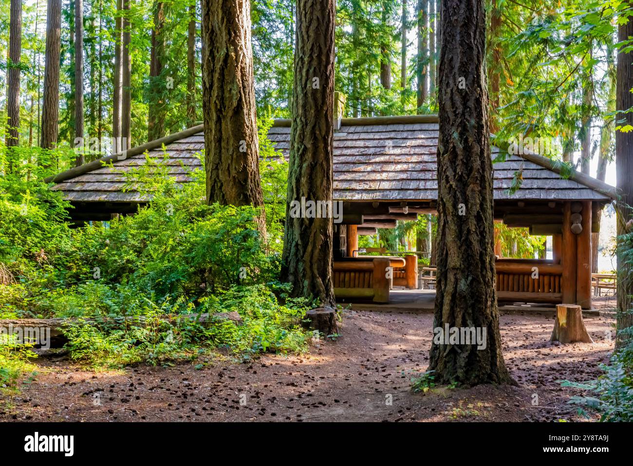 Rustic style log picnic pavilion built by the Civilian Conservation ...