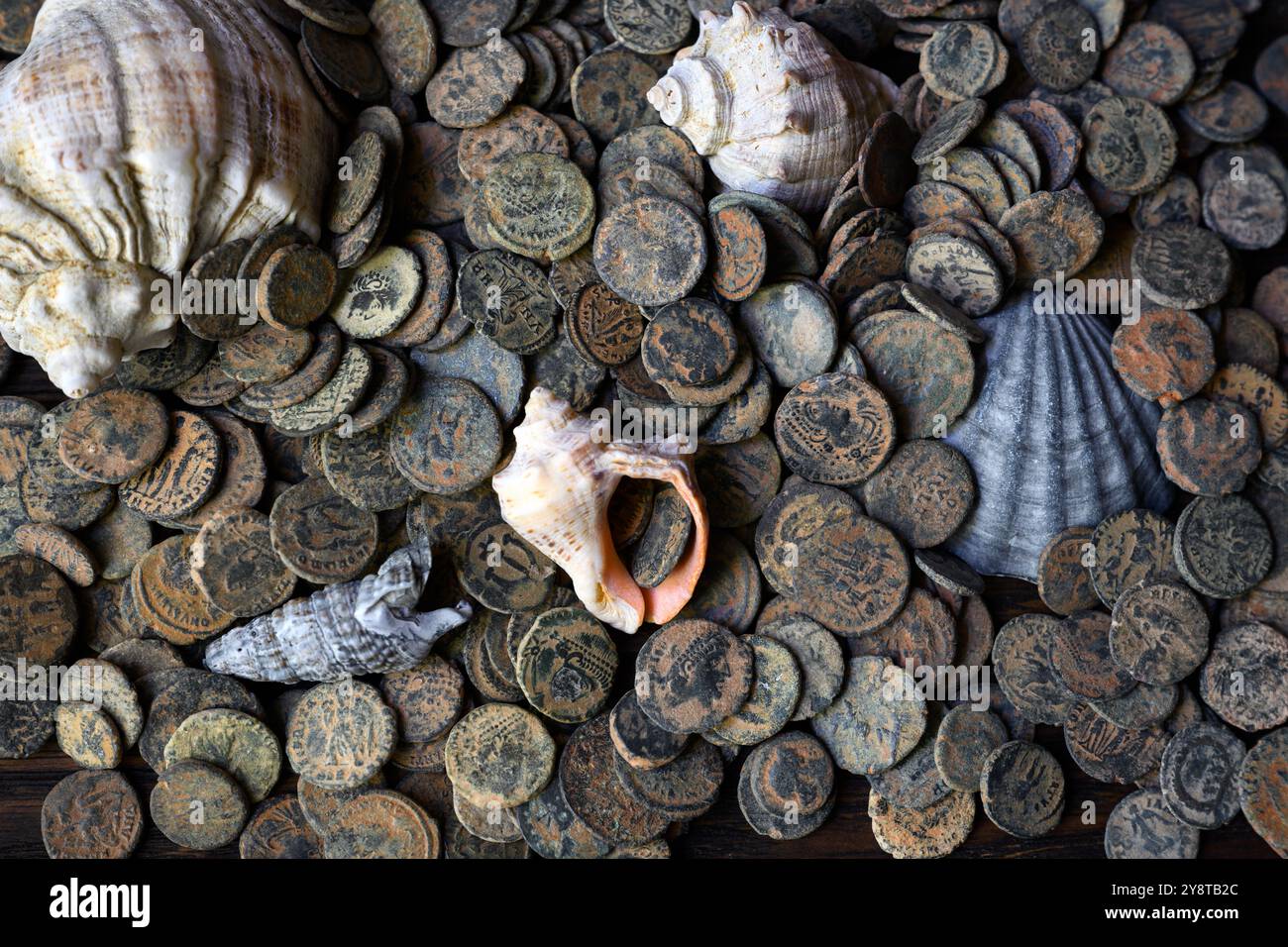 Pile of Roman coins and sea shells on old dark wooden table, top view ...