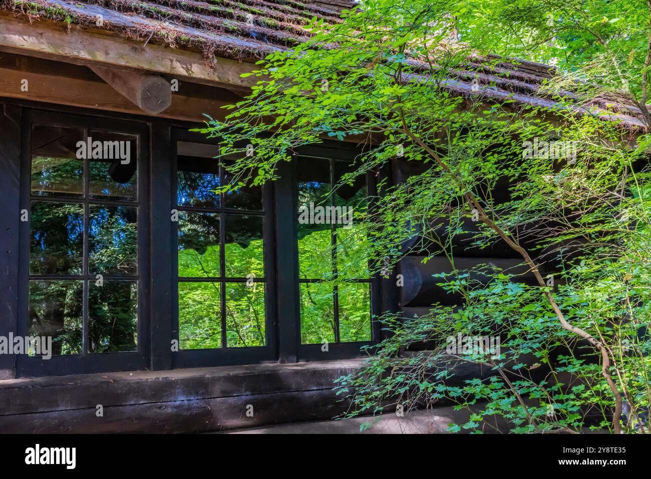 Windows of rustic style picnic pavilion built by the Civilian ...