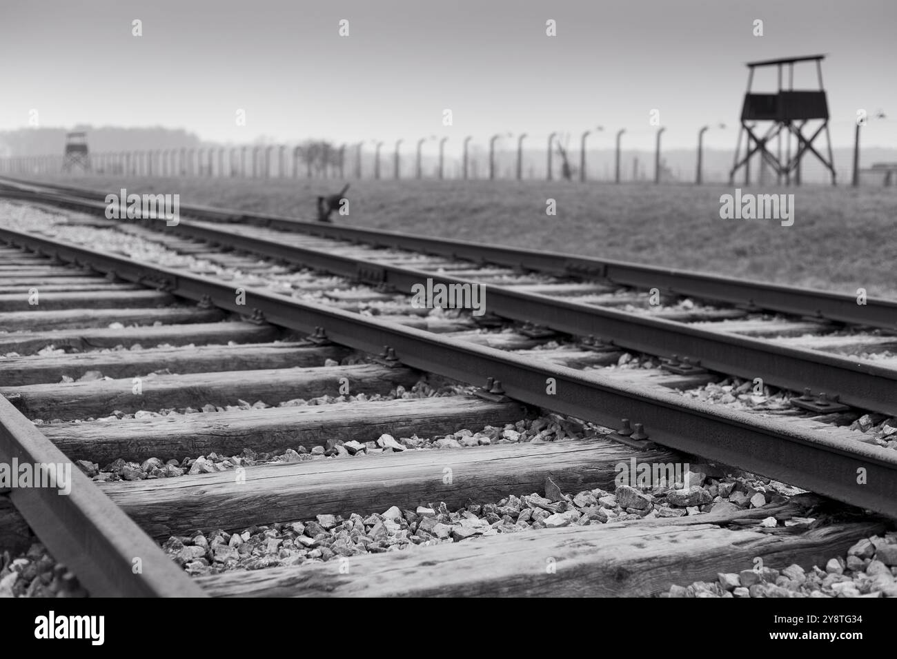 Railways, Nazi concentration and extermination camp, Auschwitz II ...