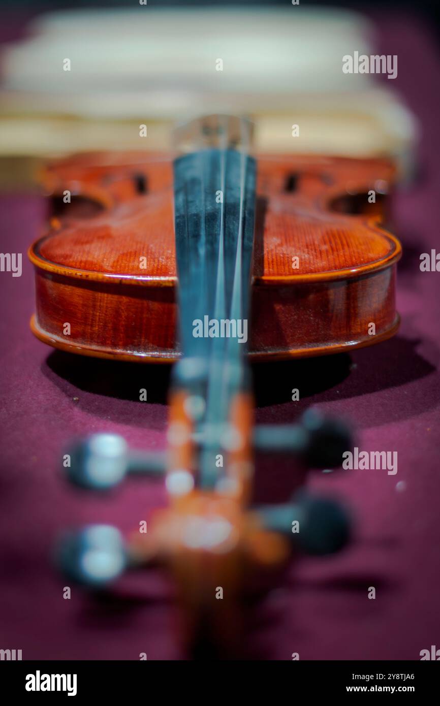 In Torino there's a baroque violin making school. One of the oldest in the country Stock Photo ...