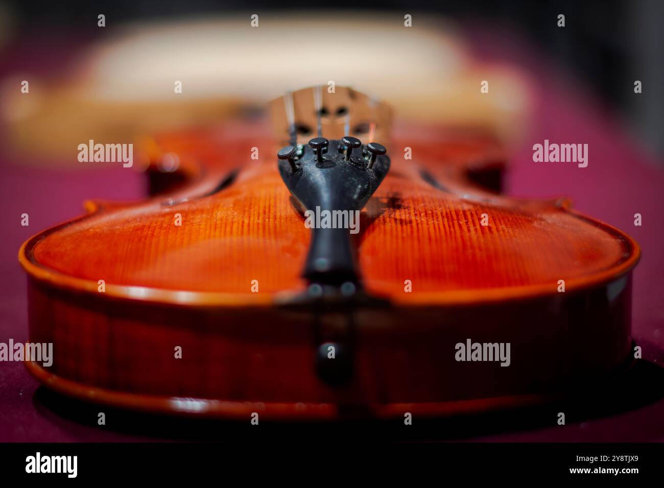 In Torino there's a baroque violin making school. One of the oldest in ...