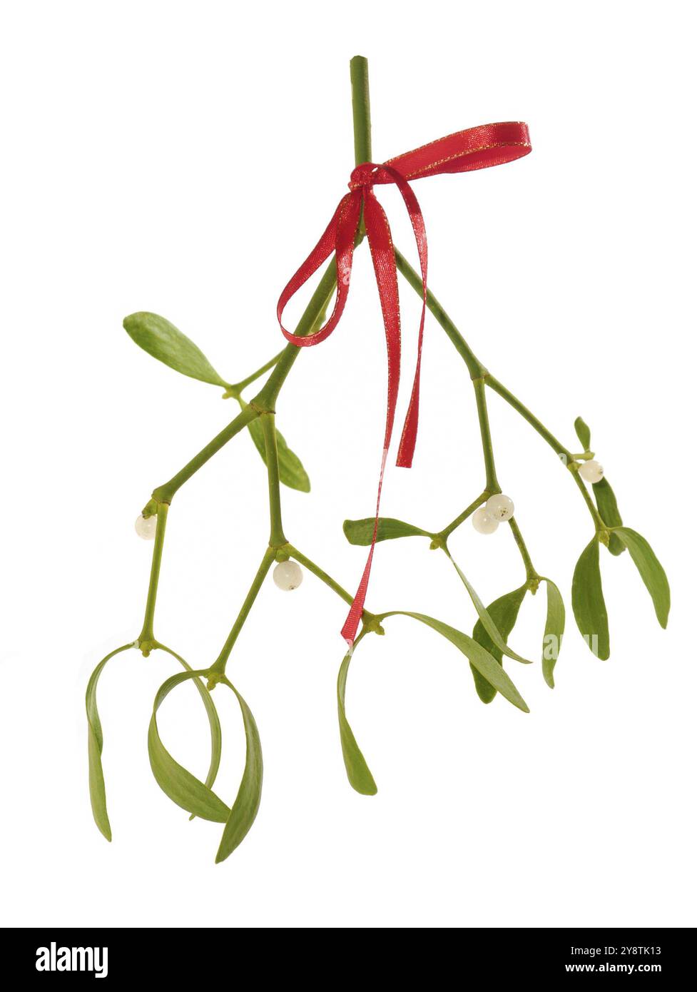 Mistletoe twig with red ribbon isolated over white background Stock ...