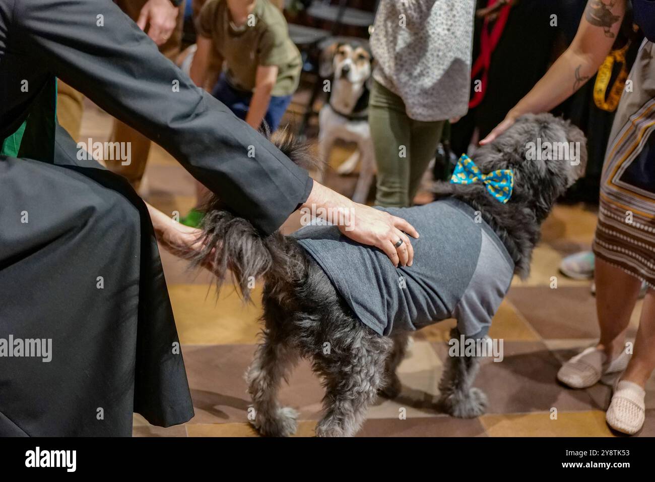 October 6, 2024, New York, New York, us: Paying homage to St. Francis ...