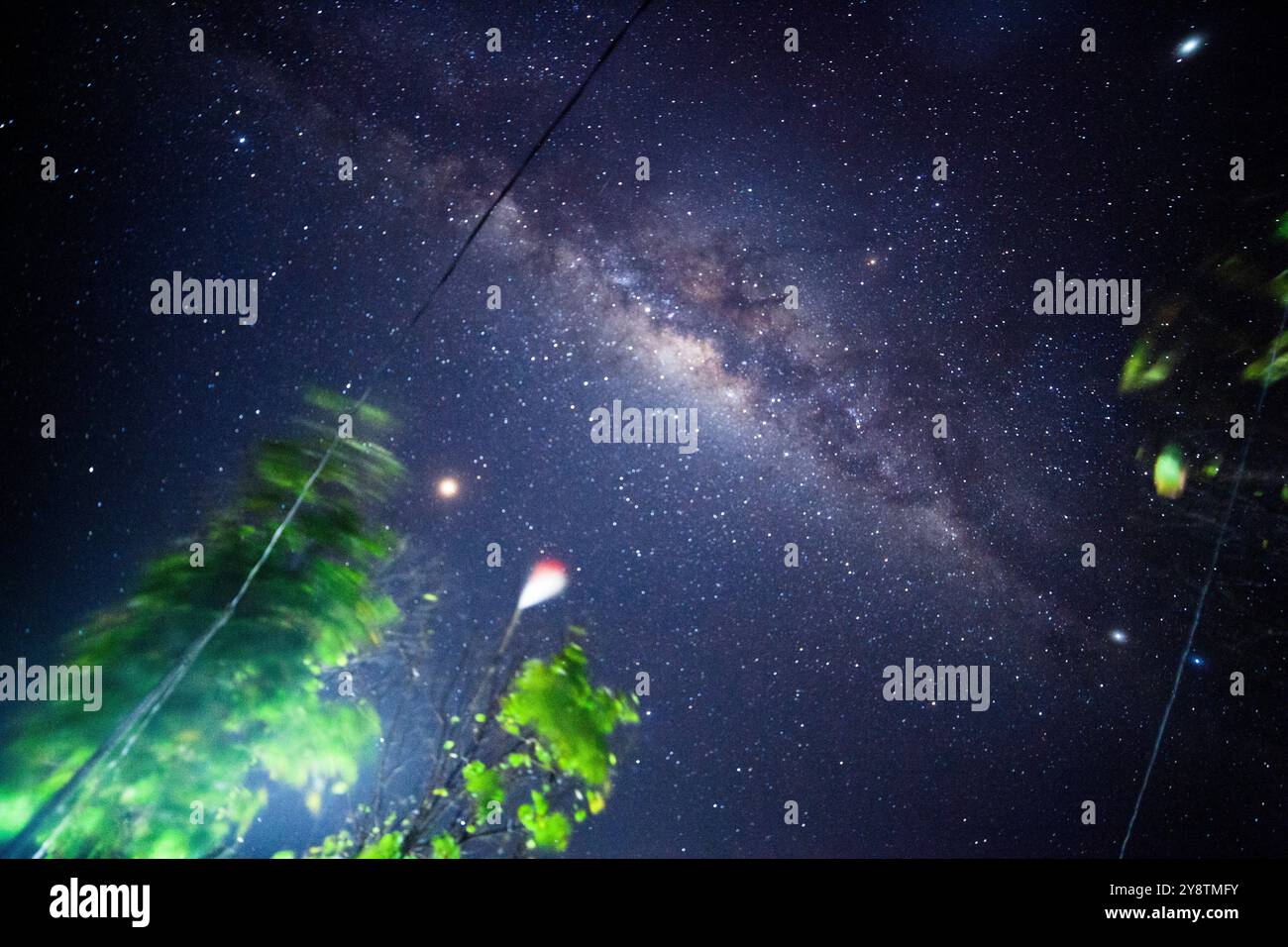 Milky Way, Shooting Star above the Trees Stock Photo - Alamy