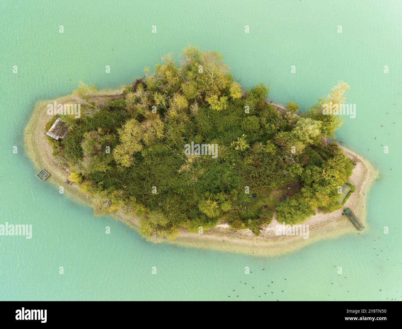 Island in swamp, Jumieges, Seine-Maritime, Normandy, France, Europe ...