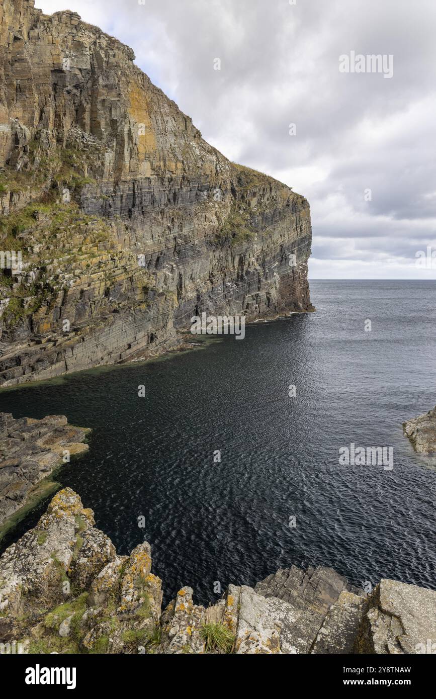 Cliff with geological stratification, near Whaligoe Steps, Lybster ...