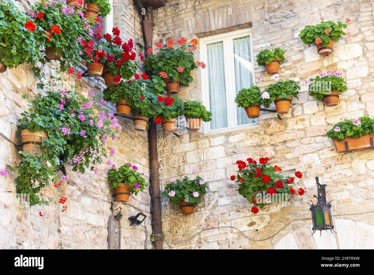 Assisi village in Umbria region, Italy. The town is famous for the most ...