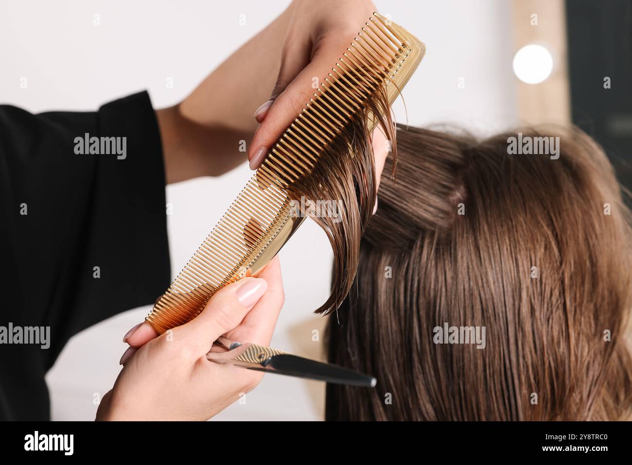 Hair cutting. Professional hairdresser working with client in salon ...