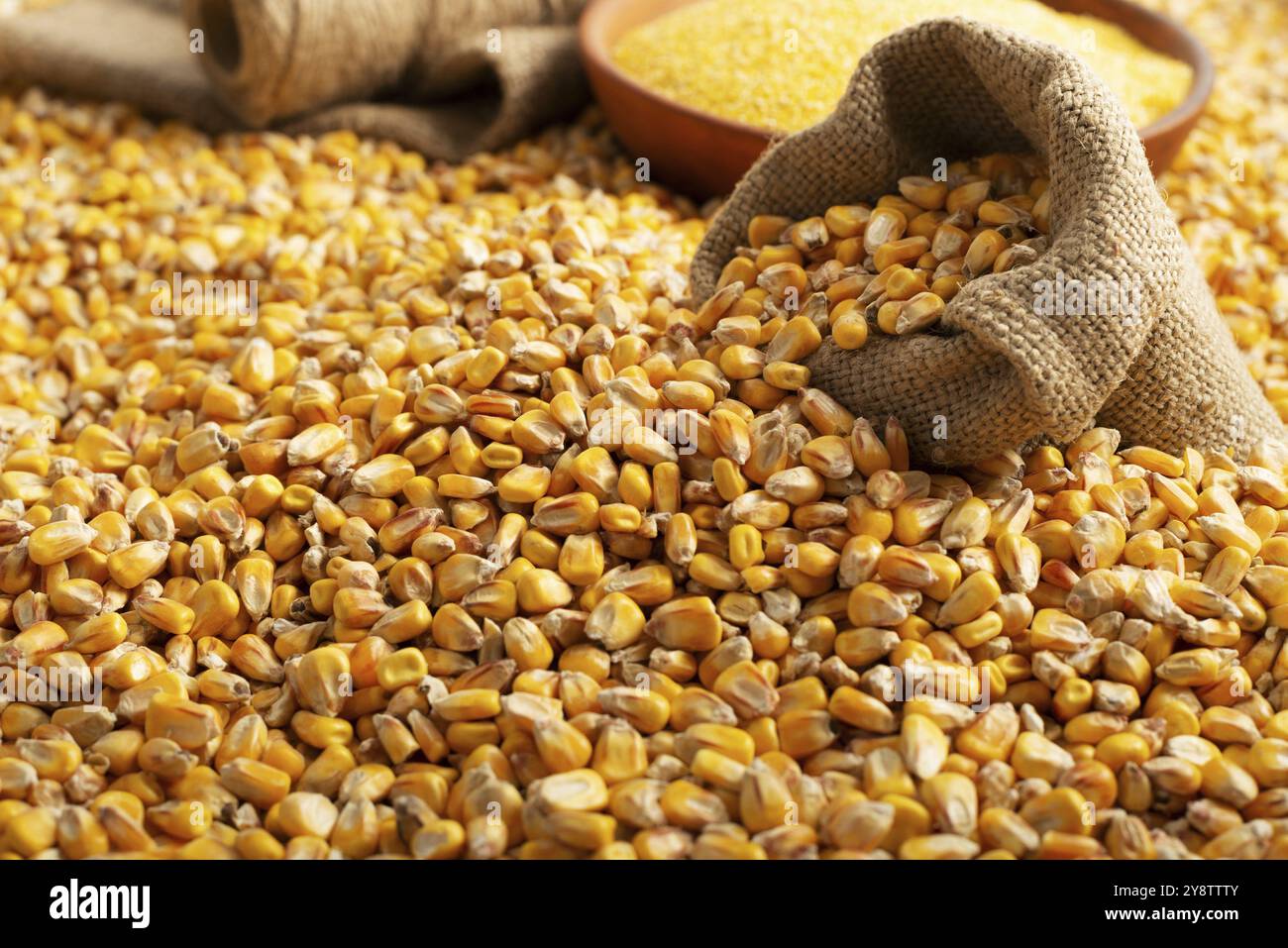 Yellow corn kernels with clay bowl in burlap sack Stock Photo - Alamy